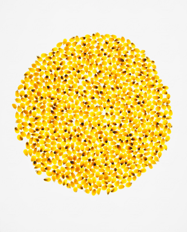 The Sēd Approach — Sēd