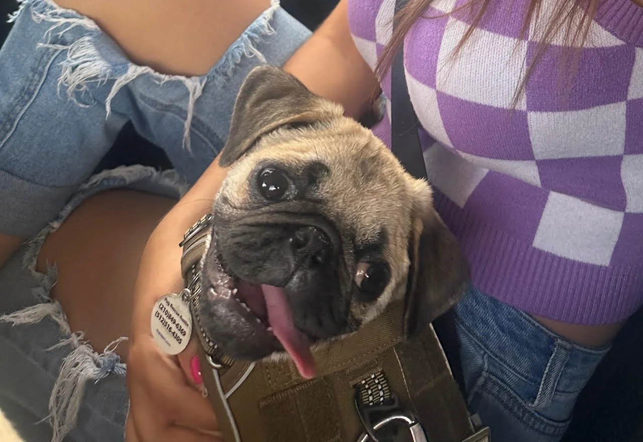 Pug Rescue of Austin