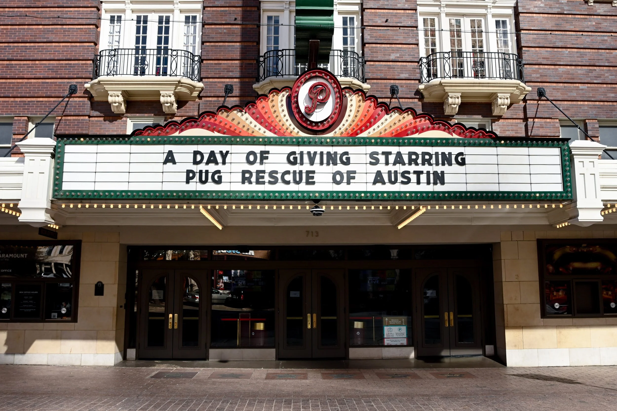 Support Pug Rescue for Amplify Austin Day! | Pug Rescue of Austin