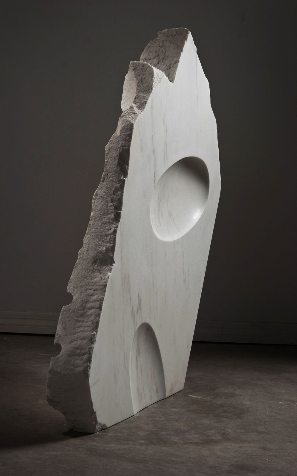 MICROSCOPIC REVELATIONS — ERIC HIGGS