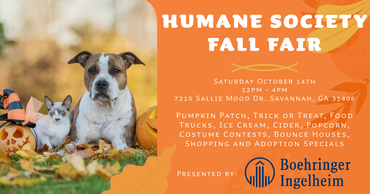 Humane Society Fall Fair — Humane Society for Greater Savannah