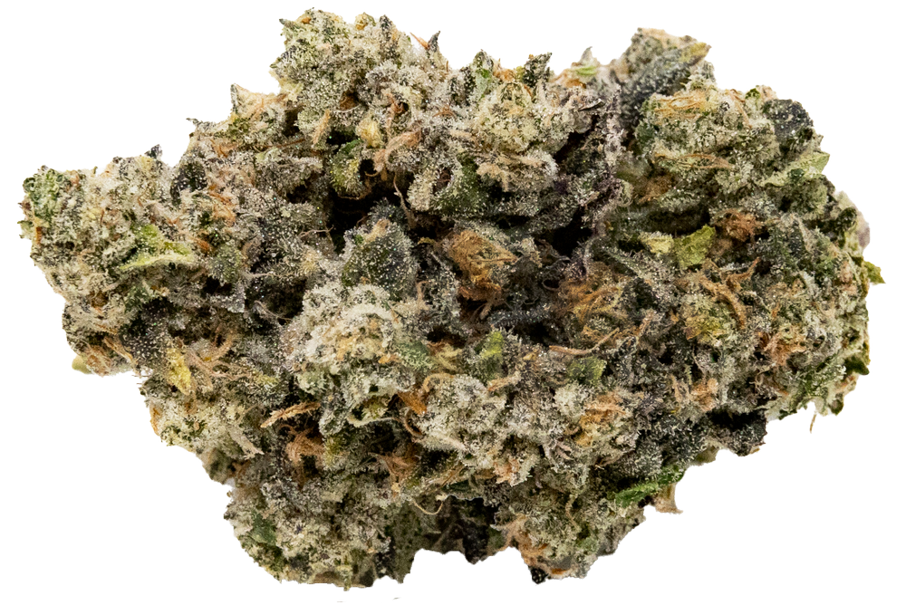 Sunfuel — Heavyweight Heads