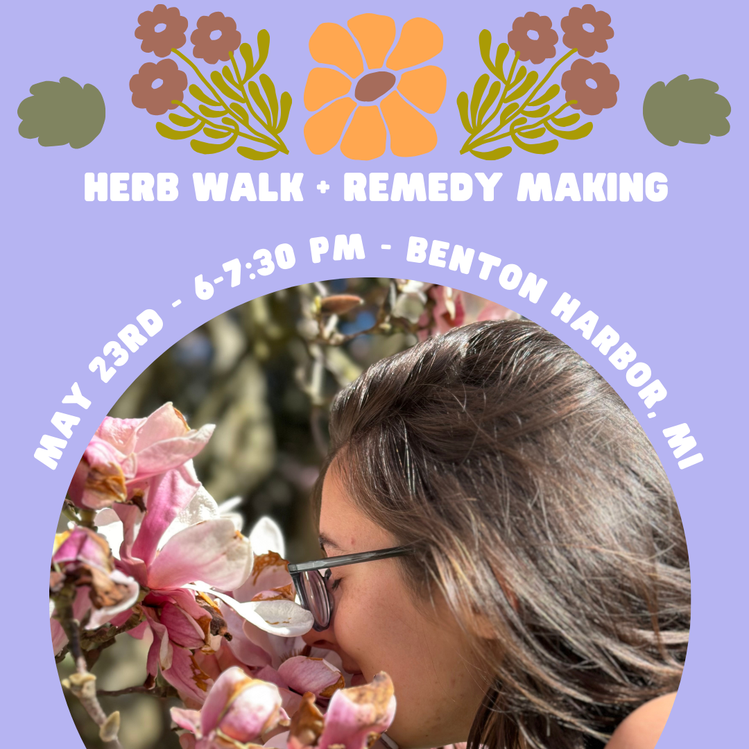 Early Summer Herb Walk + Remedy Making — Nurturing through Nature