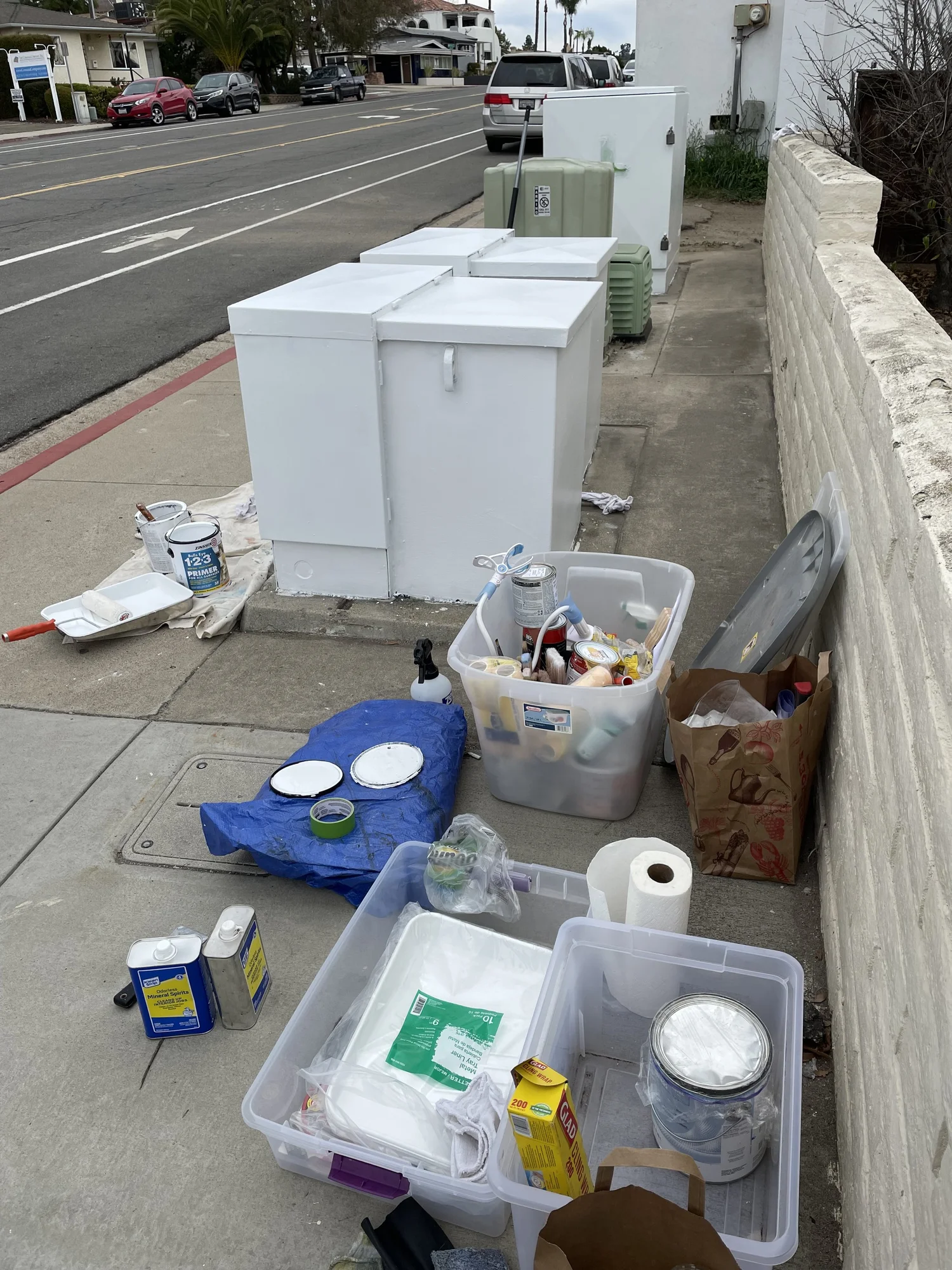 Painting a Utility Box in La Mesa, California — Becca Dwyer Design