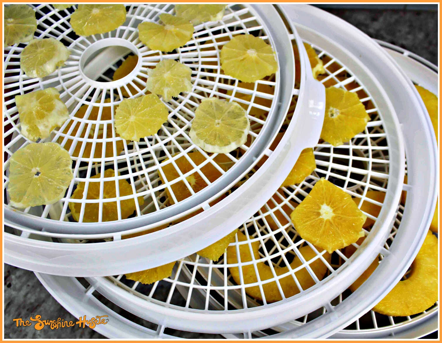 How To Dehydrate Citrus — The Sunshine Hustle