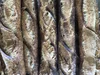 Rosalind Bakery - Made All Good