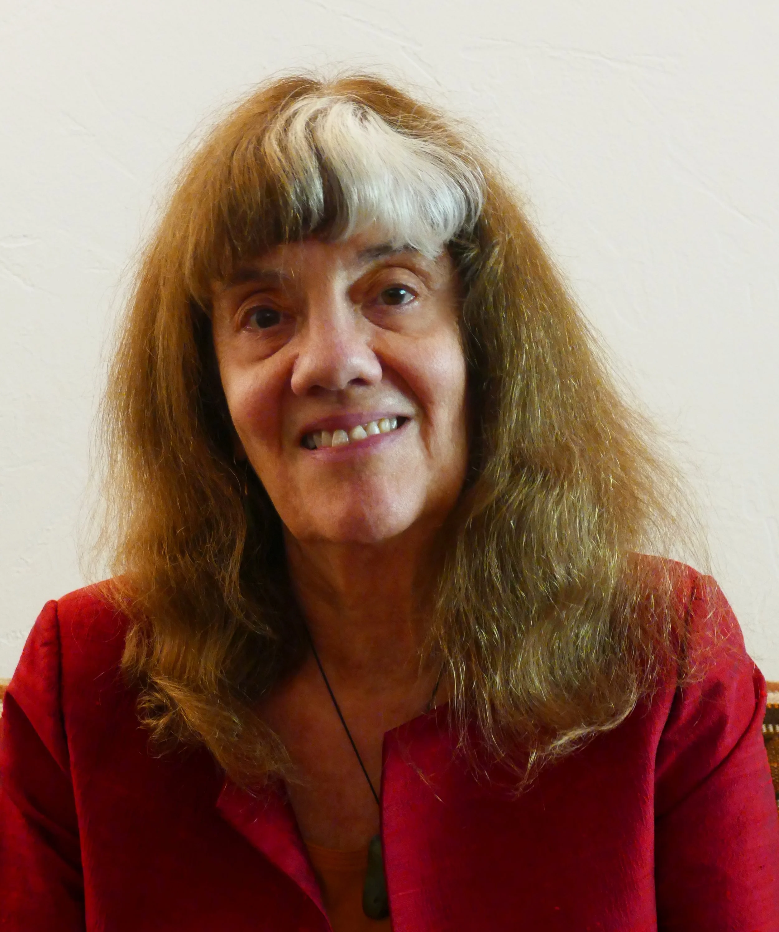 Our Team — Topos Institute