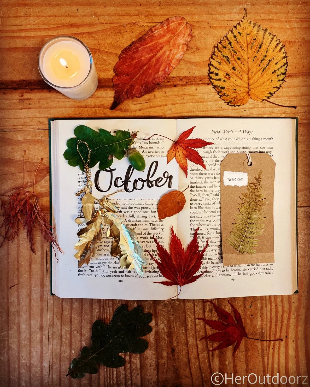 Nature Writing - Seasonal Compendium — HerOutdoorz, Seasonal Nature ...