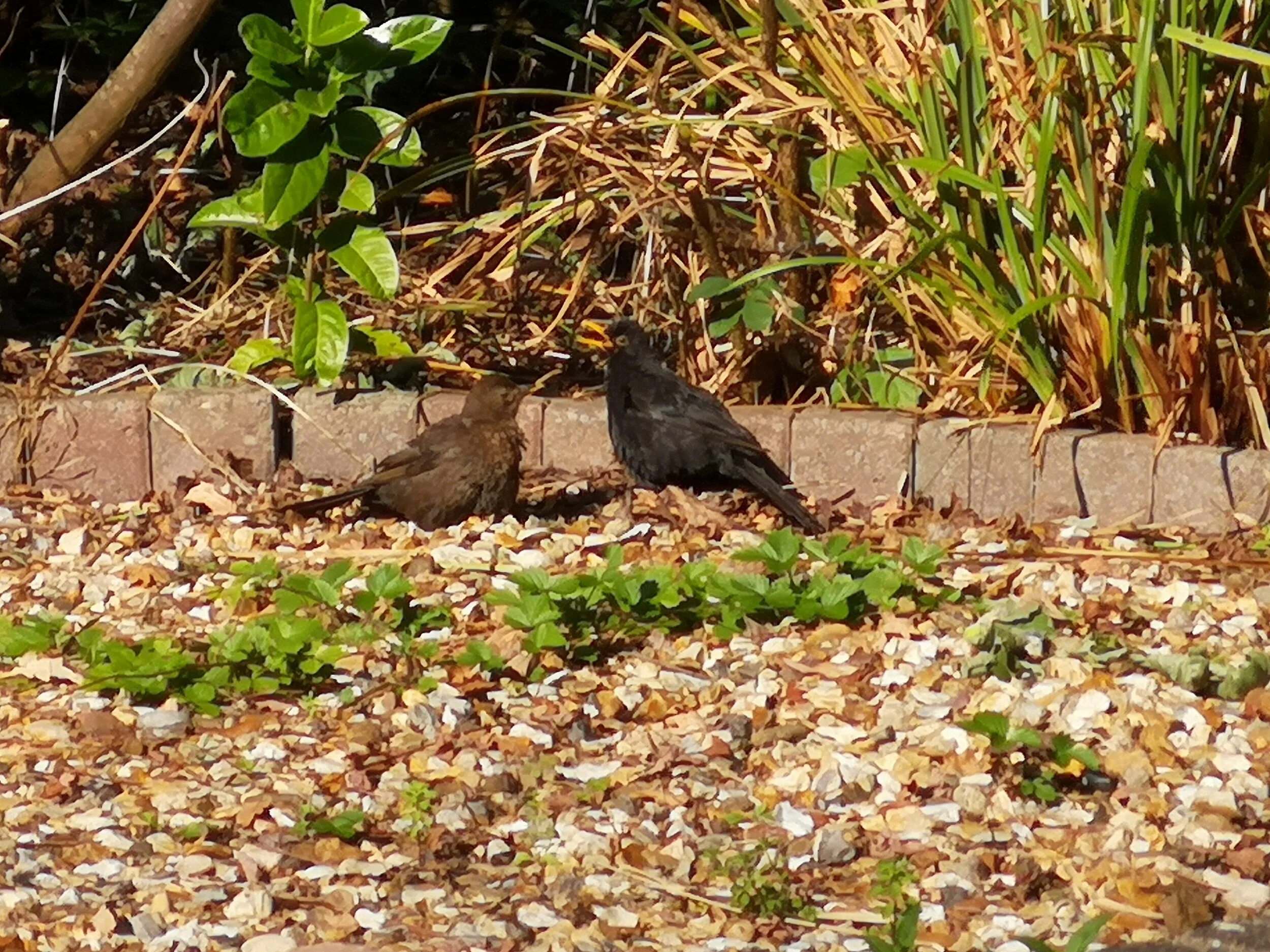 ODRPlat - The Online Dispute Resolution Platform