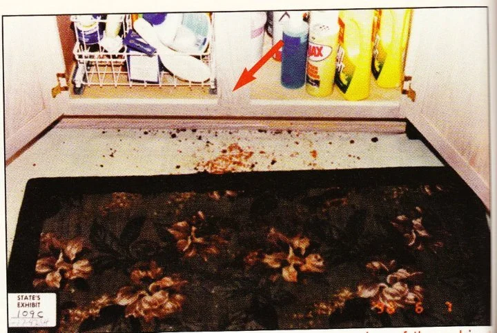 Guilty or Not Guilty: Darlie Routier 2 — Outline of A Murder: A True ...