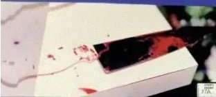 Fotos De Darlie Routier Crime Scene