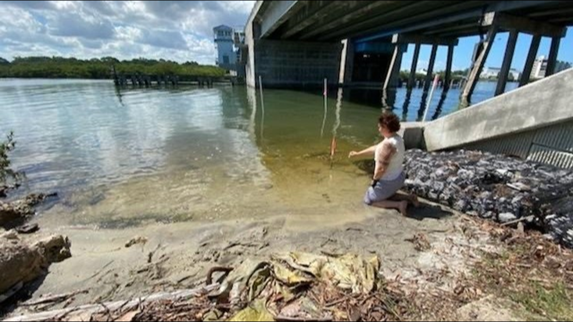 Guilty or Not Guilty: James Dailey — Outline of A Murder: A True Crime Podcast