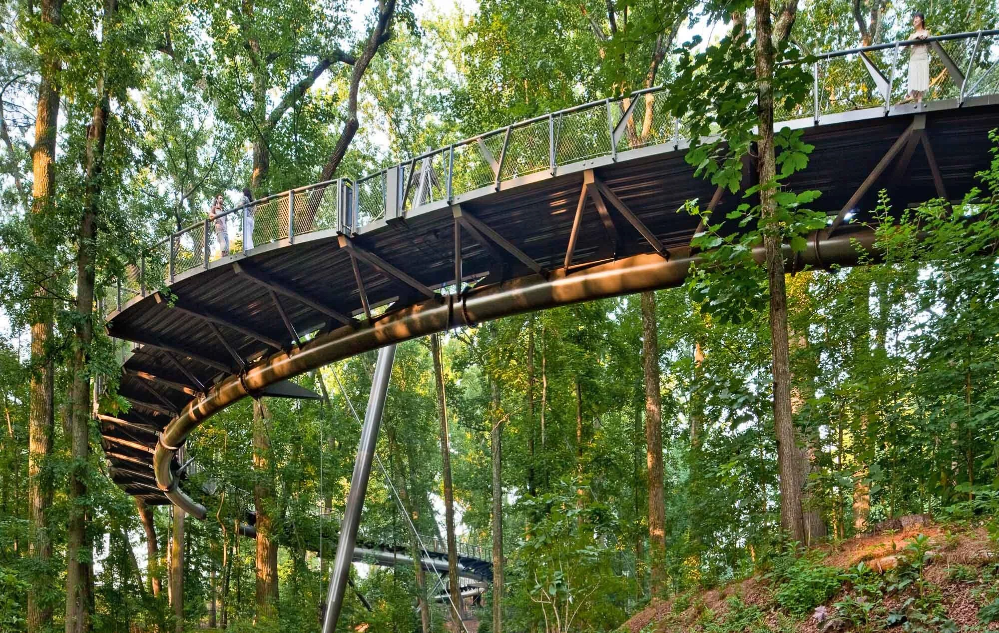 Kendeda Canopy Walk | Modern Design from Axios Architecture