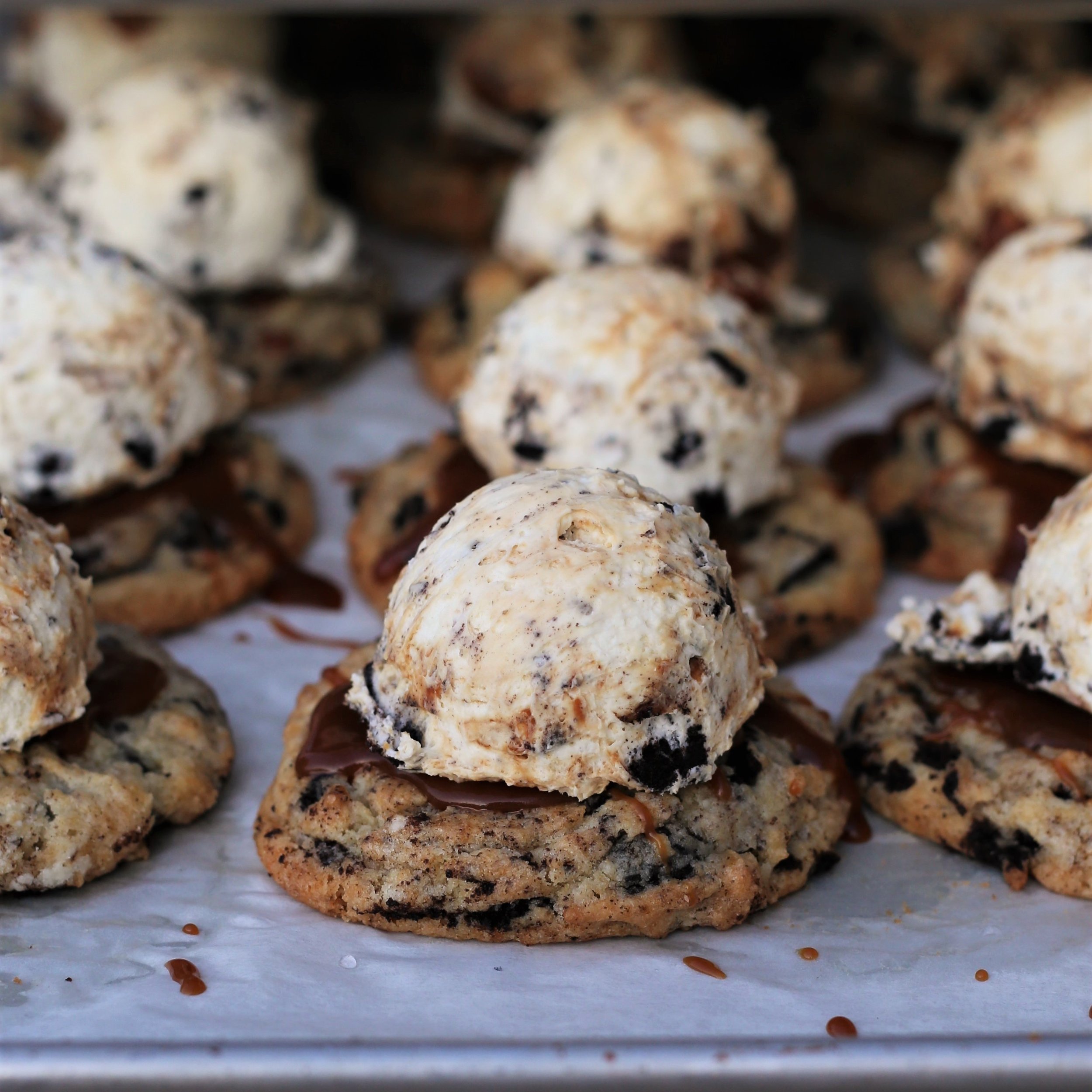 Two Scoops Cookies by the Sea Cookie (local pickup only) — honeybear ...