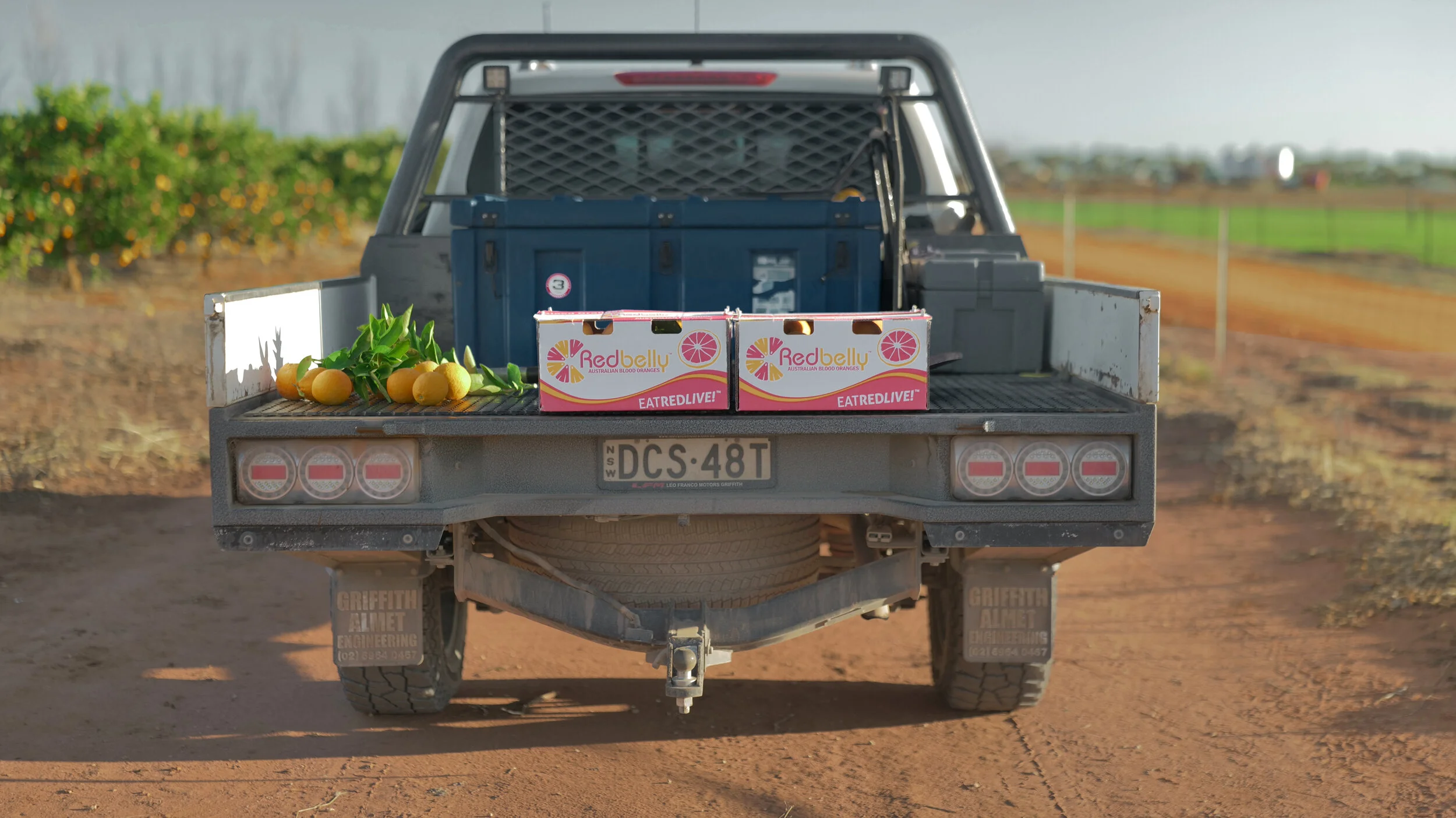 Redbelly Blood Oranges