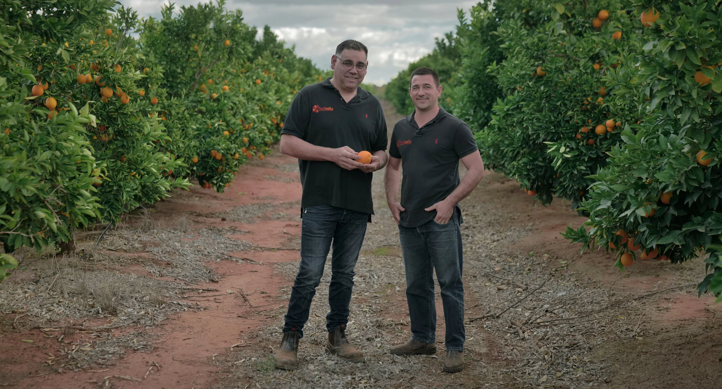 Redbelly Blood Oranges