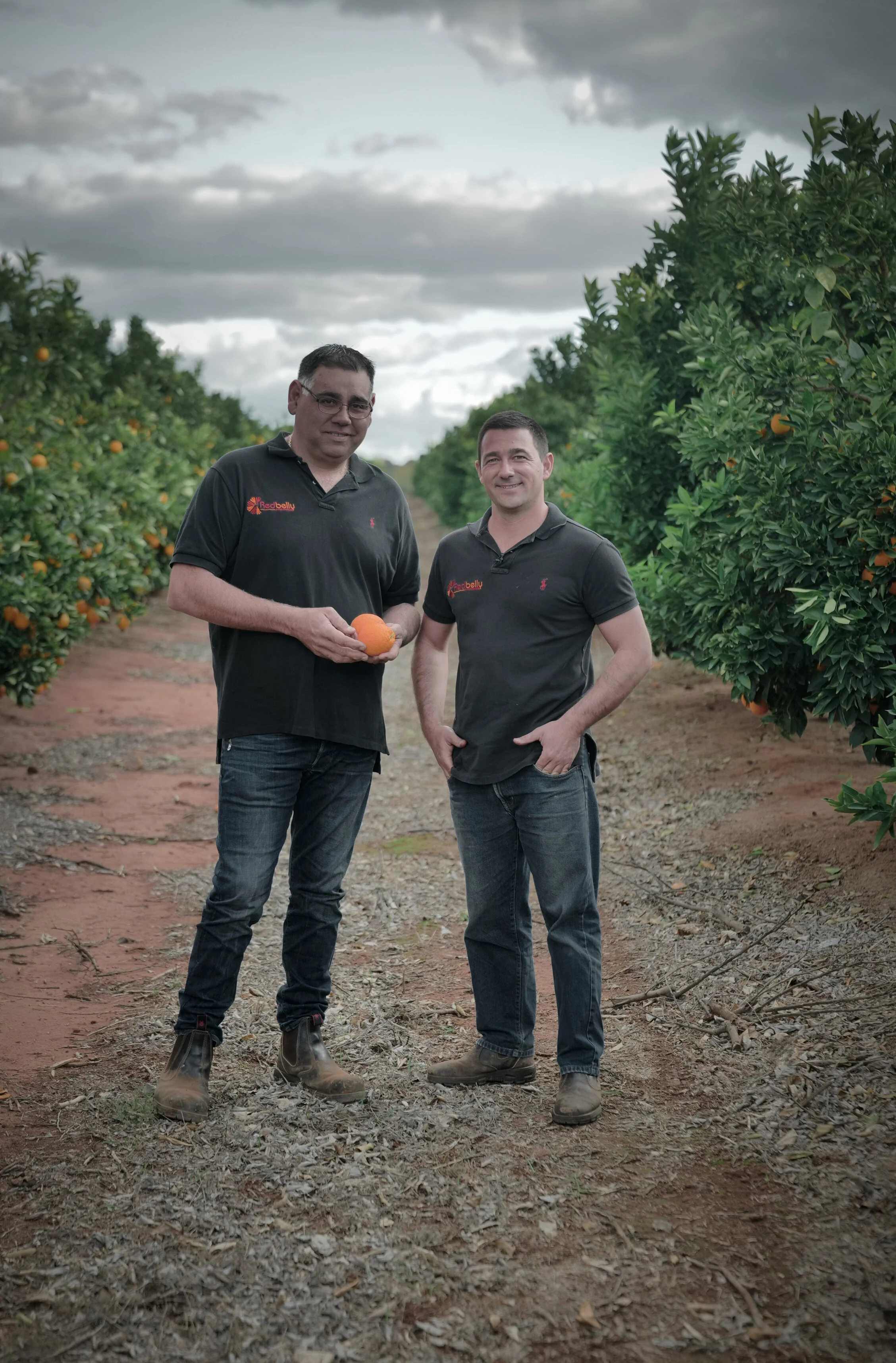 Redbelly Blood Oranges