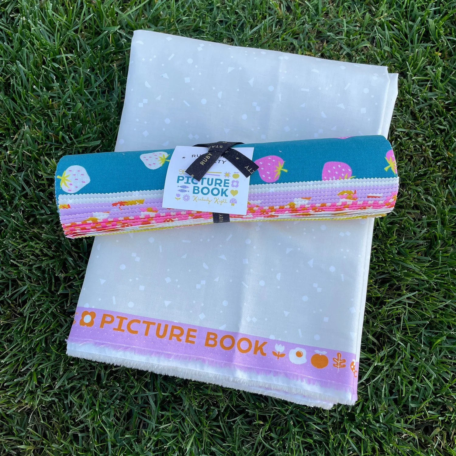 Charm Pack Stars - Large Throw - Ruby Star Society Picture Book ...