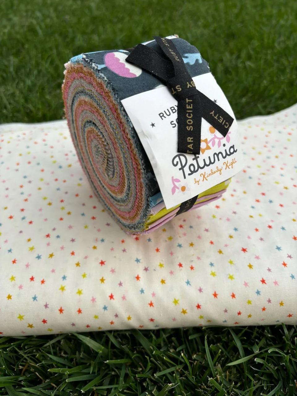 Radiant Beams - Ruby Star Society Petunia version — Allison Ramsing