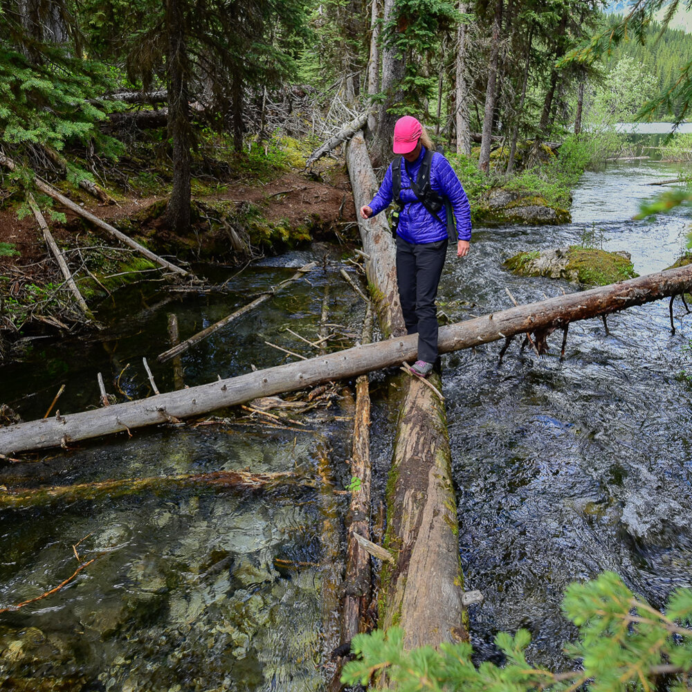 "Hiking-with-Paramount-Guides"