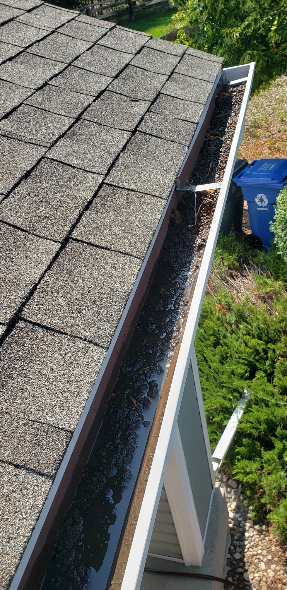 Local Gutter Cleaners