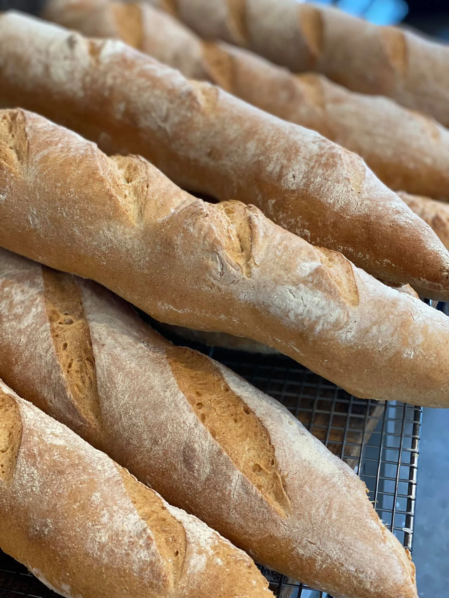 Gallery — Utica Bakery