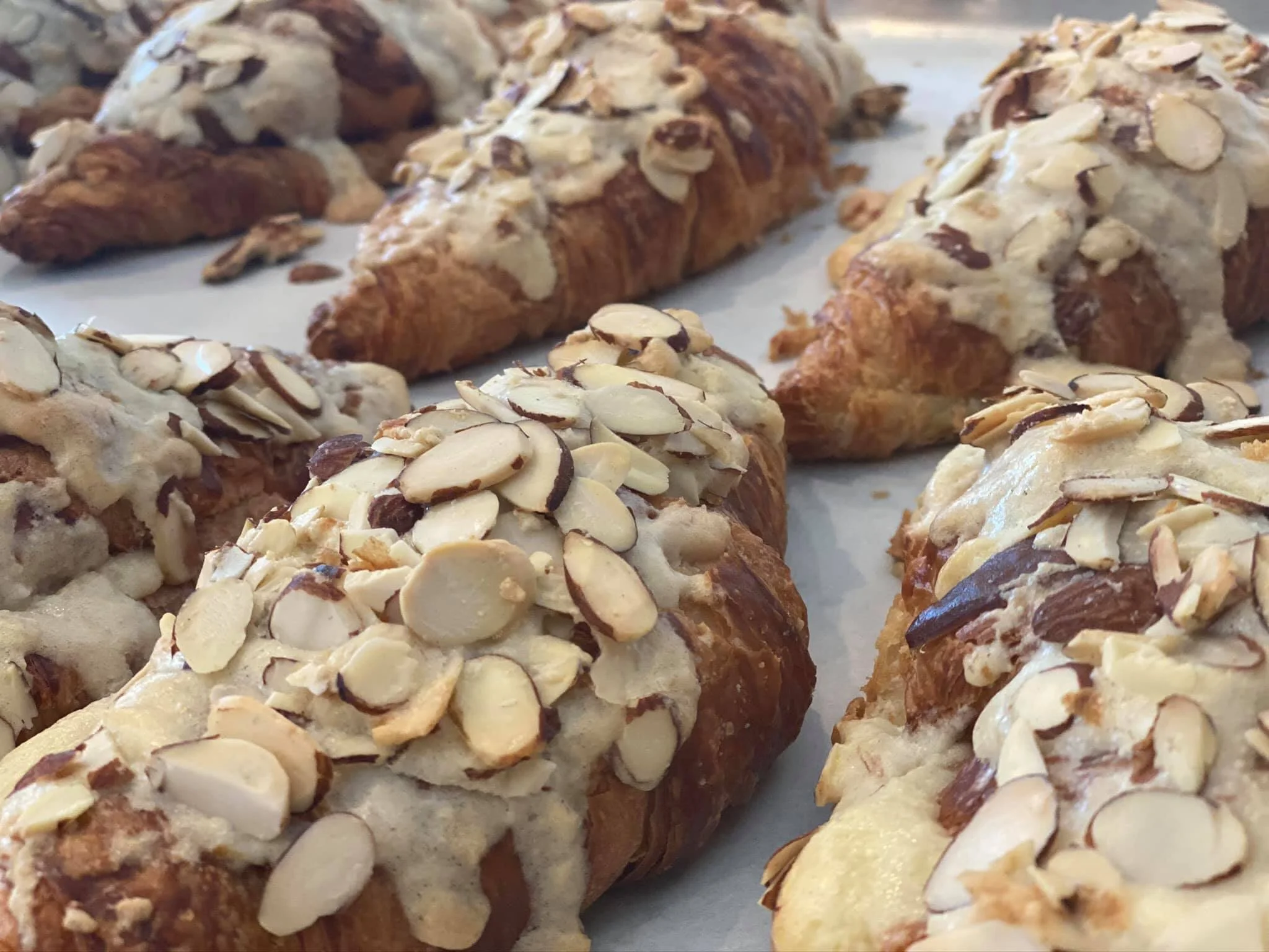 Gallery — Utica Bakery