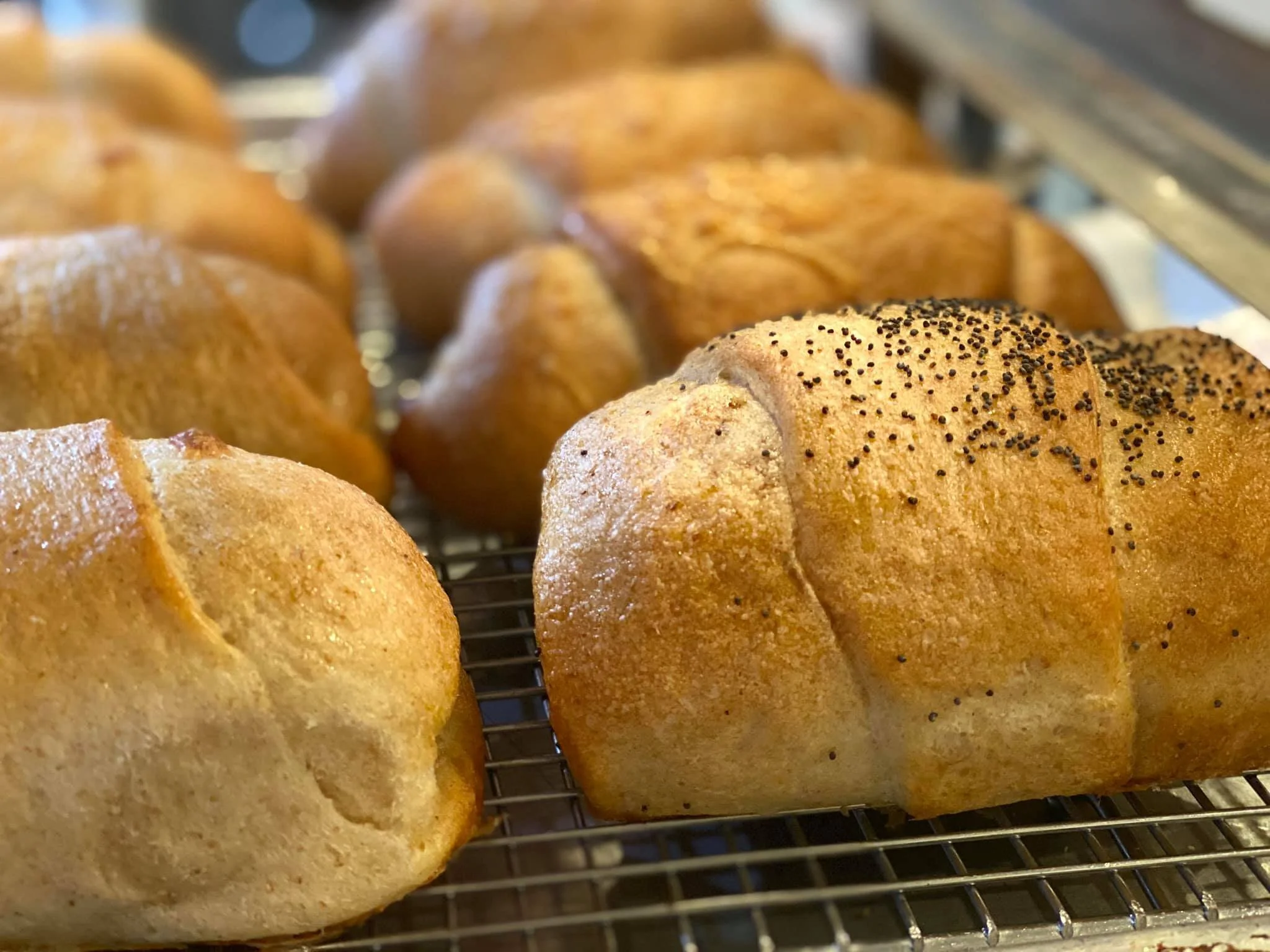 Gallery — Utica Bakery