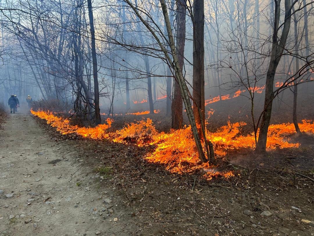 NJFFS SECTION B10 Home Page