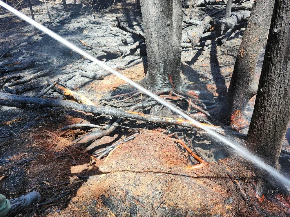 NJFFS SECTION B10 Home Page