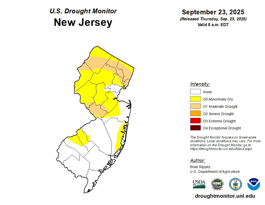 NJFFS SECTION B10 Home Page
