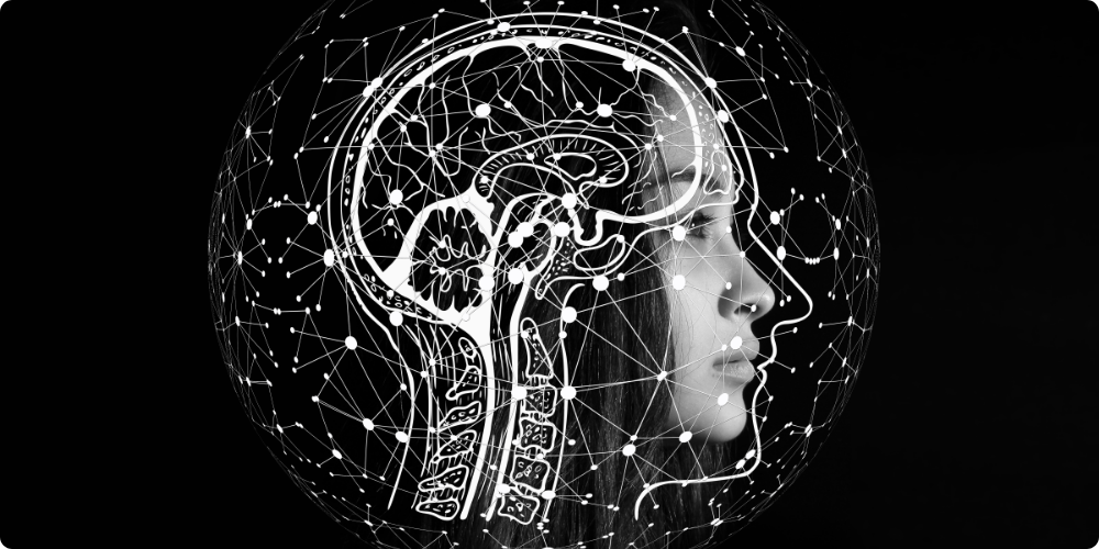 Neurodevelopmental Disorders — Magna House