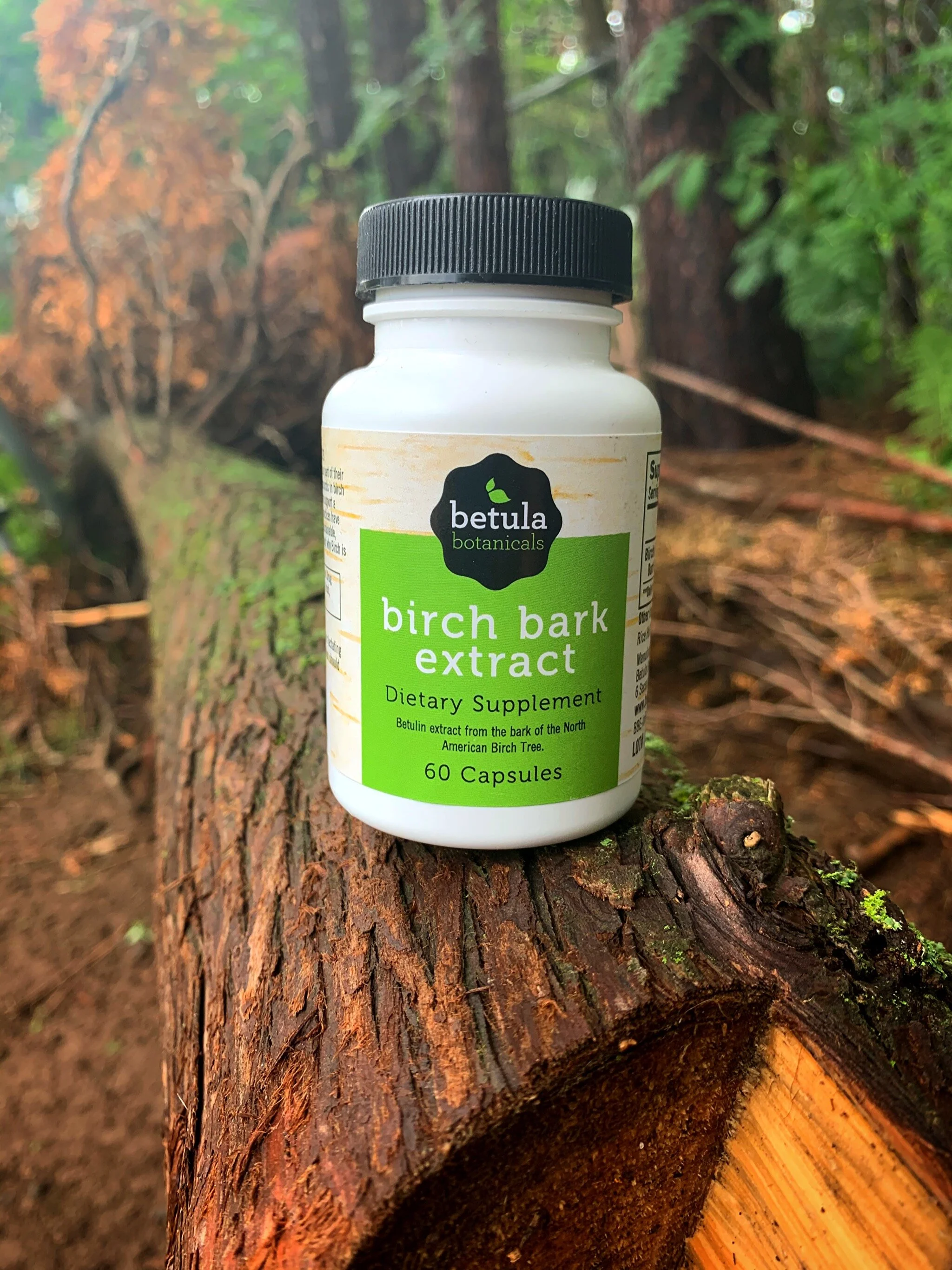 Buy Chaga & Birch Extract Natural Supplements — Betula Botanicals