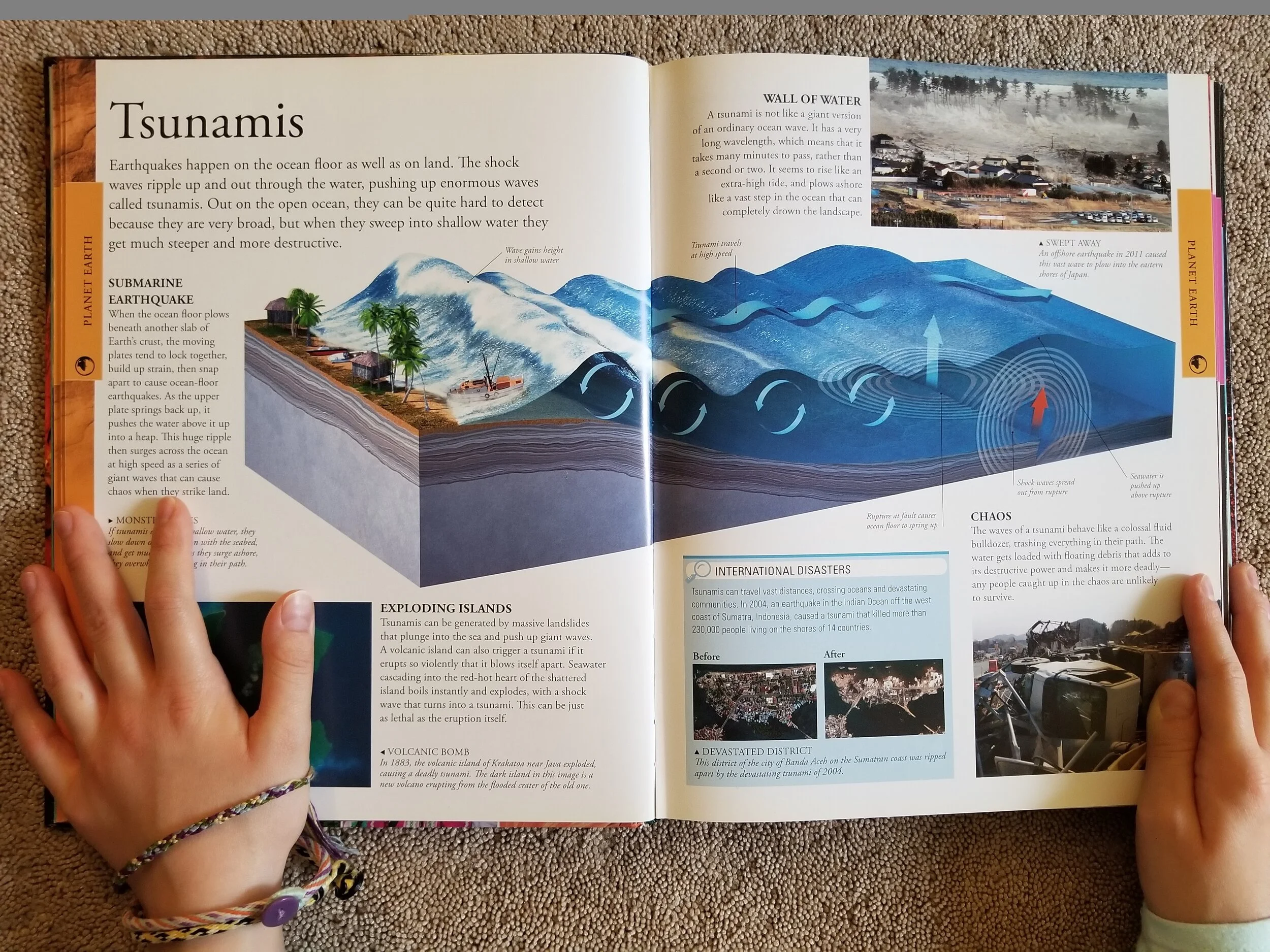 Interdisciplinary Homeschool Geography: Geography Is Everywhere! — Love ...