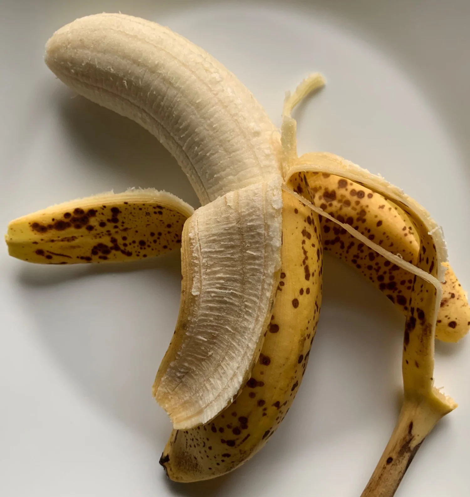 Banana Strings — Hundredfold Video | Video Production Studio in St ...