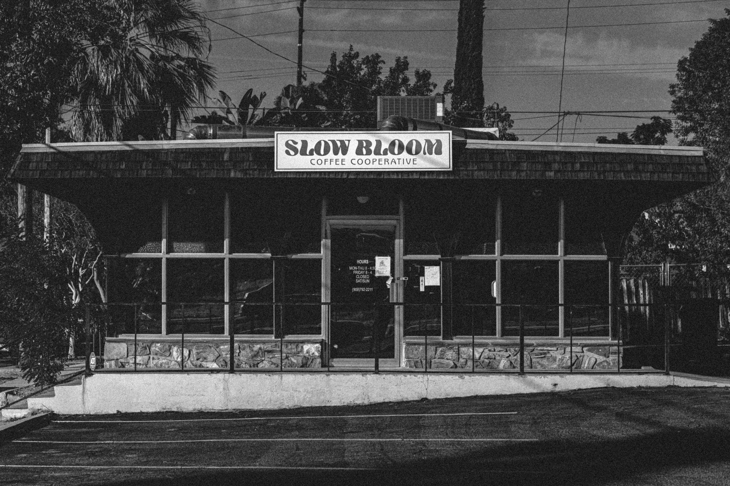 About Slow Bloom — Slow Bloom Coffee Cooperative