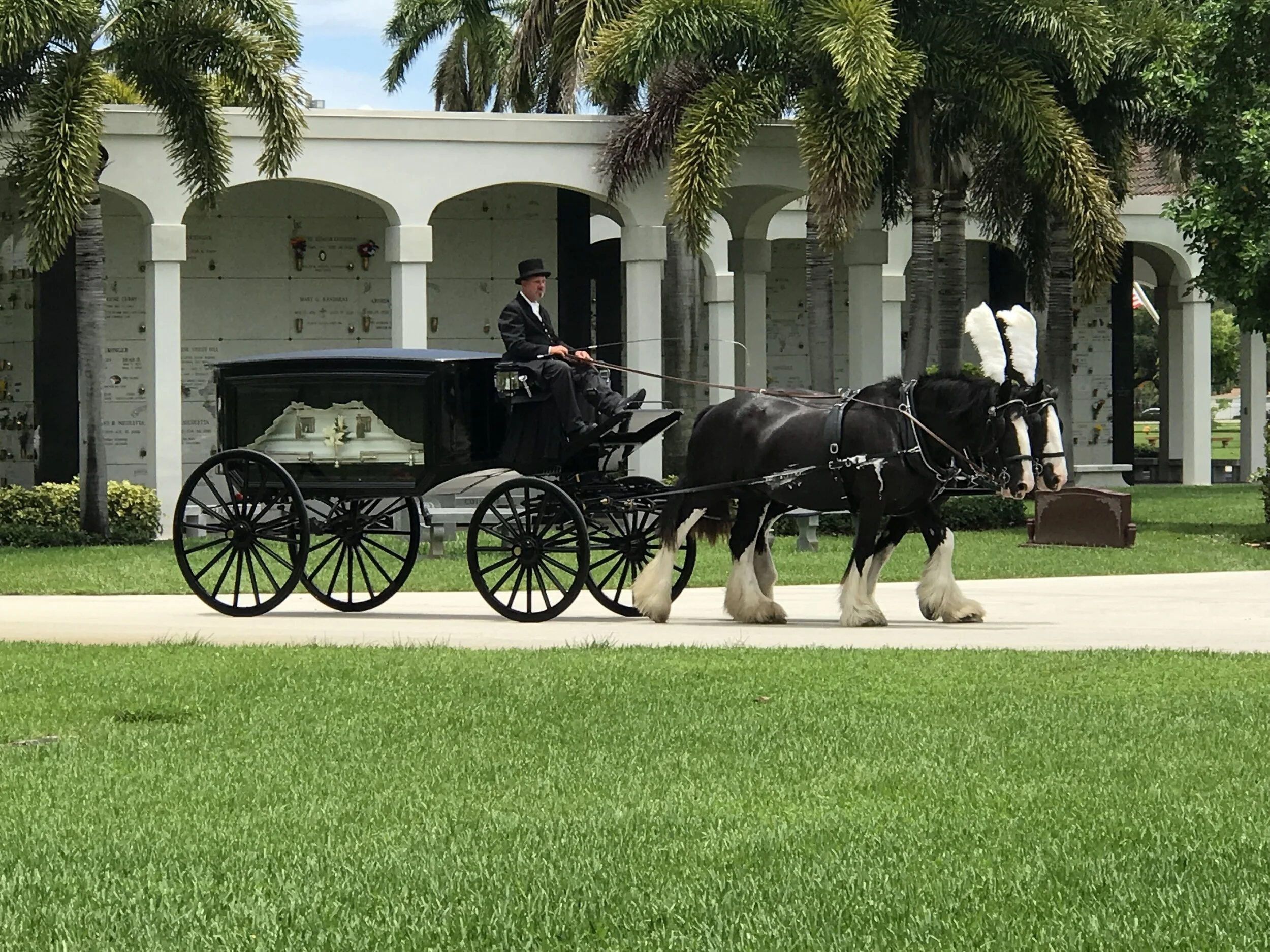 Horse-drawn Funerals — Wind Chase Farm