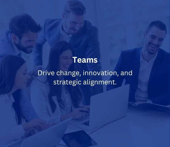 Now-to-Next Blueprint ® — LEDET Partners & Company