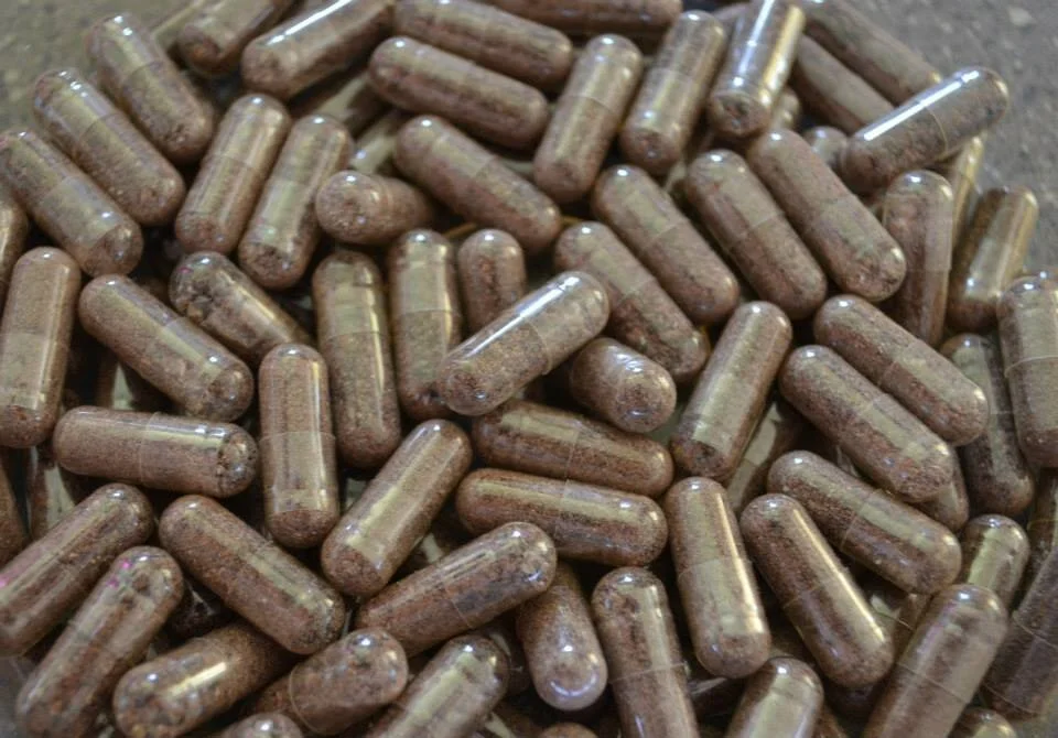 Placenta Encapsulation — Mother Heart Birth Services