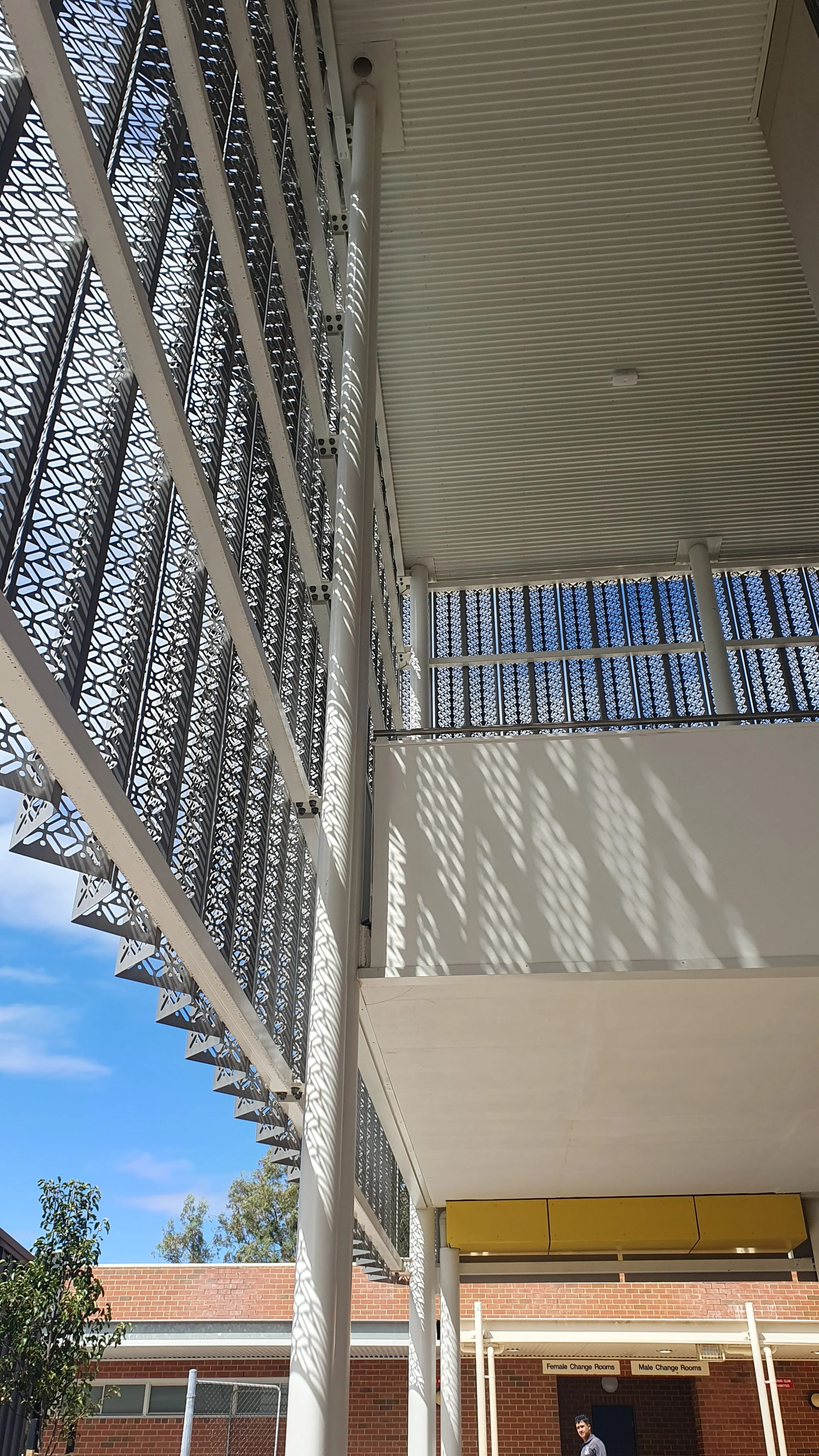 Articulated facade screen references Banksia menziesii — Forlano Design ...