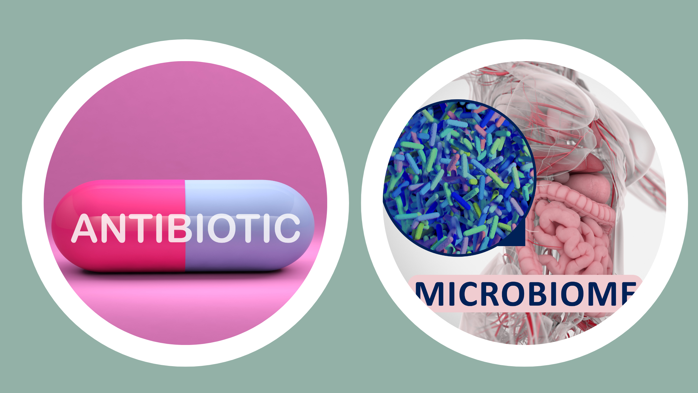 How Antibiotics Affect Your Gut