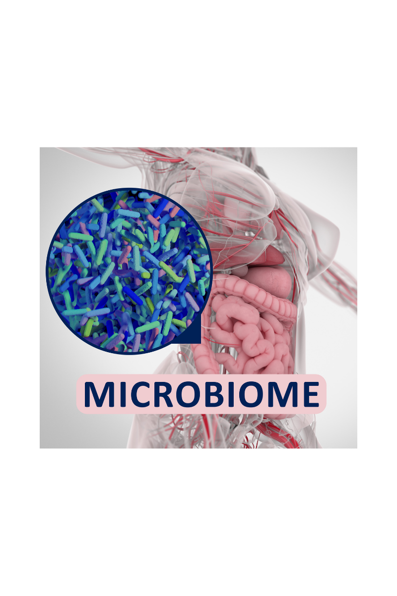 5 ways to heal your gut microbiome