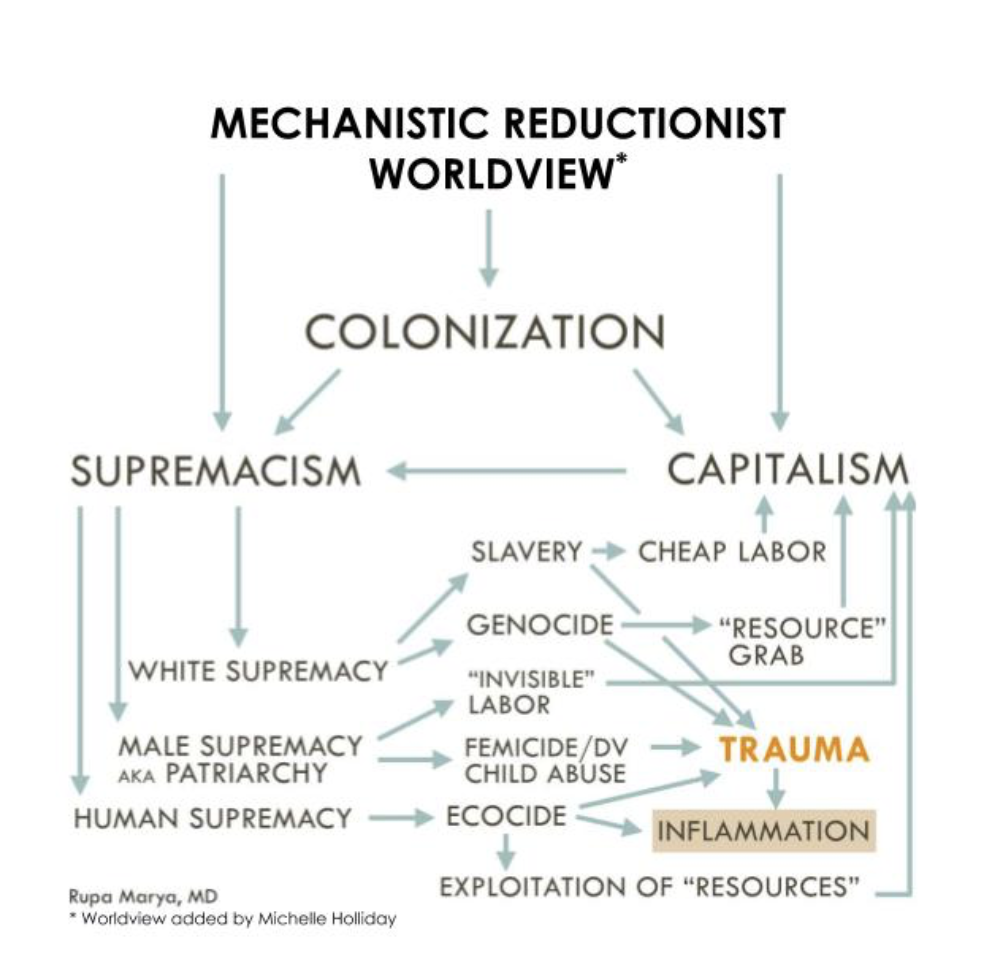 Unveiling the Layers of Supremacy Culture: A Decolonial Lens — Inspire ...
