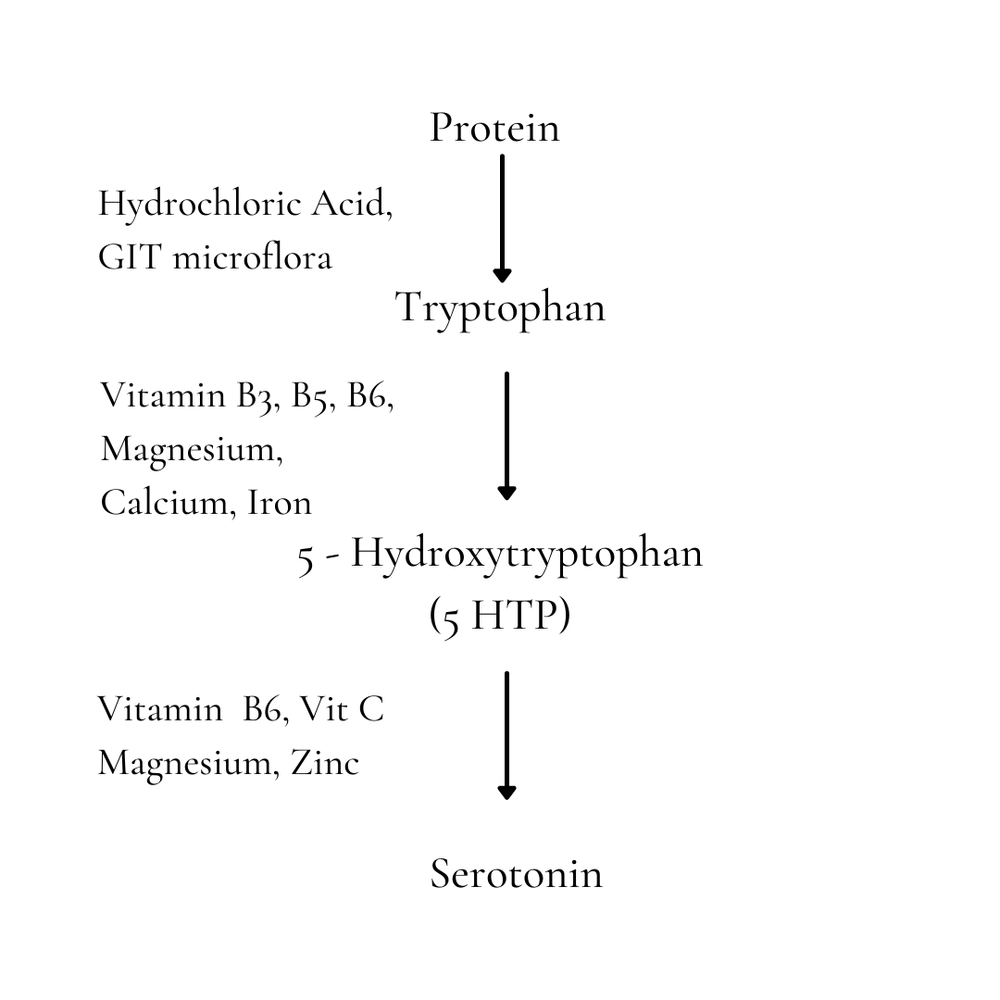 Dietary hacks to boost Serotonin — Brunswick Naturopath