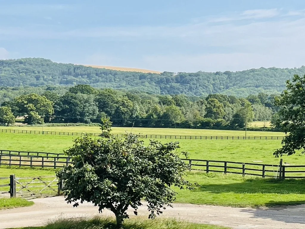 The Farm — Westerlands