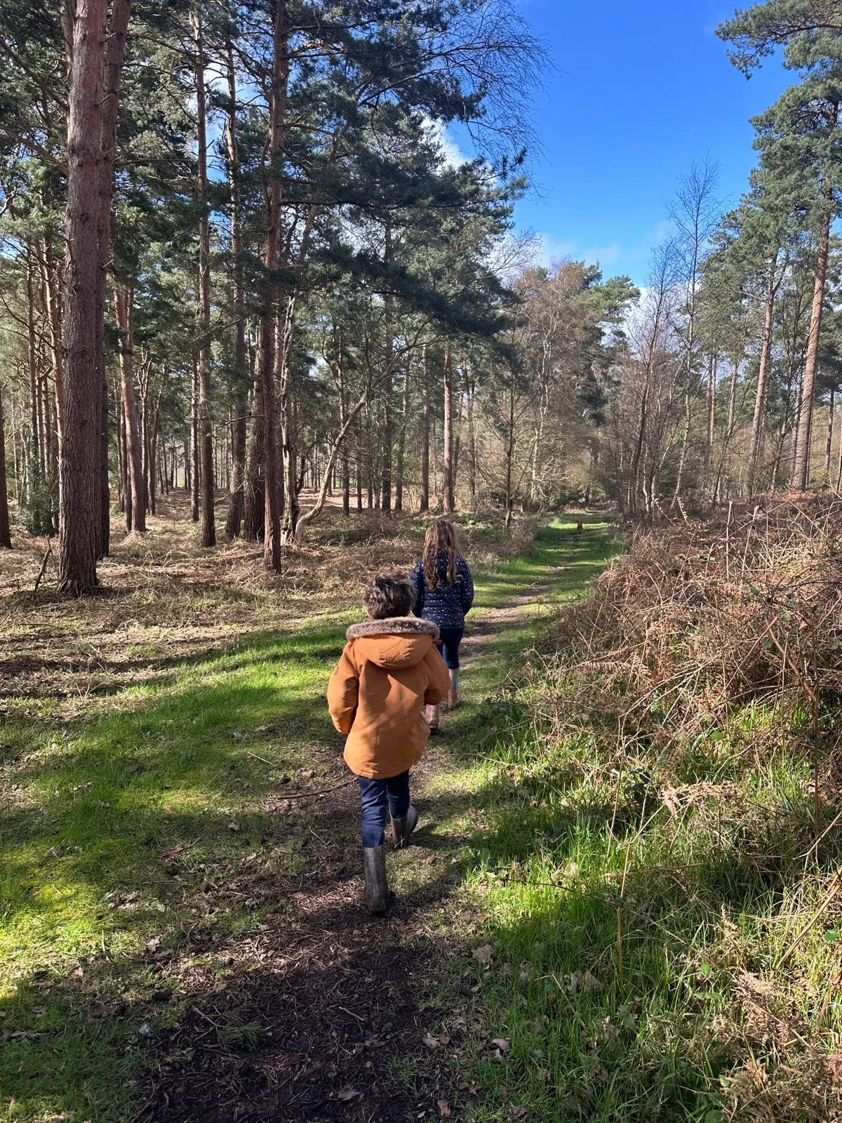 Horse Riding in South Downs National Park, West Sussex — Westerlands