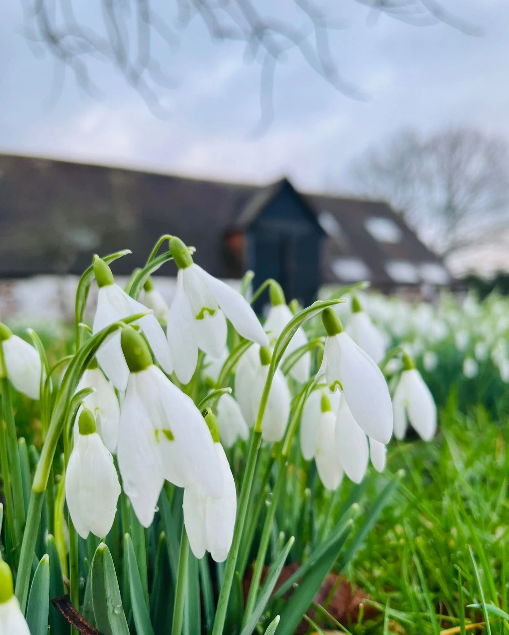 Step into Spring at Westerlands — Westerlands