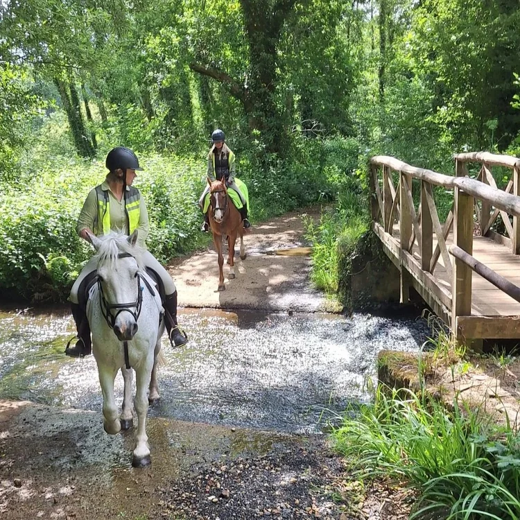 Horse Riding in South Downs National Park, West Sussex — Westerlands