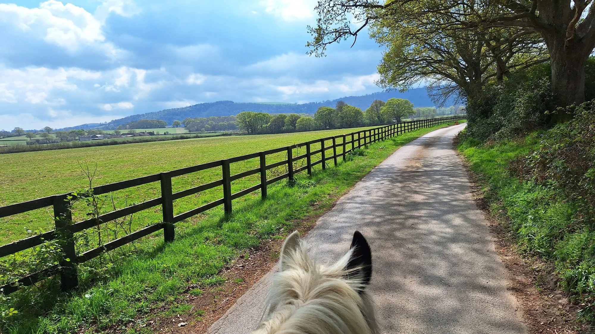 Horse Riding in South Downs National Park, West Sussex — Westerlands