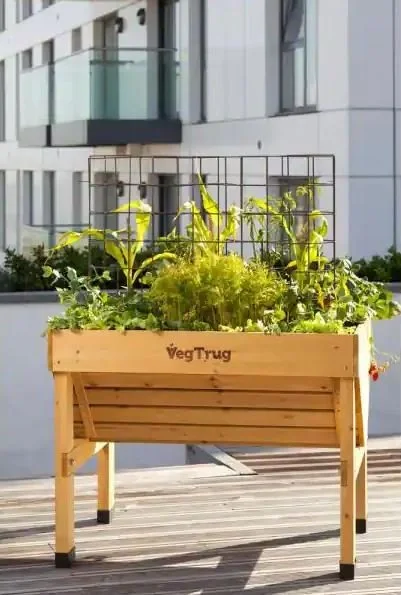 Did You Know About The VegTrug? — Kelly Bernier Designs
